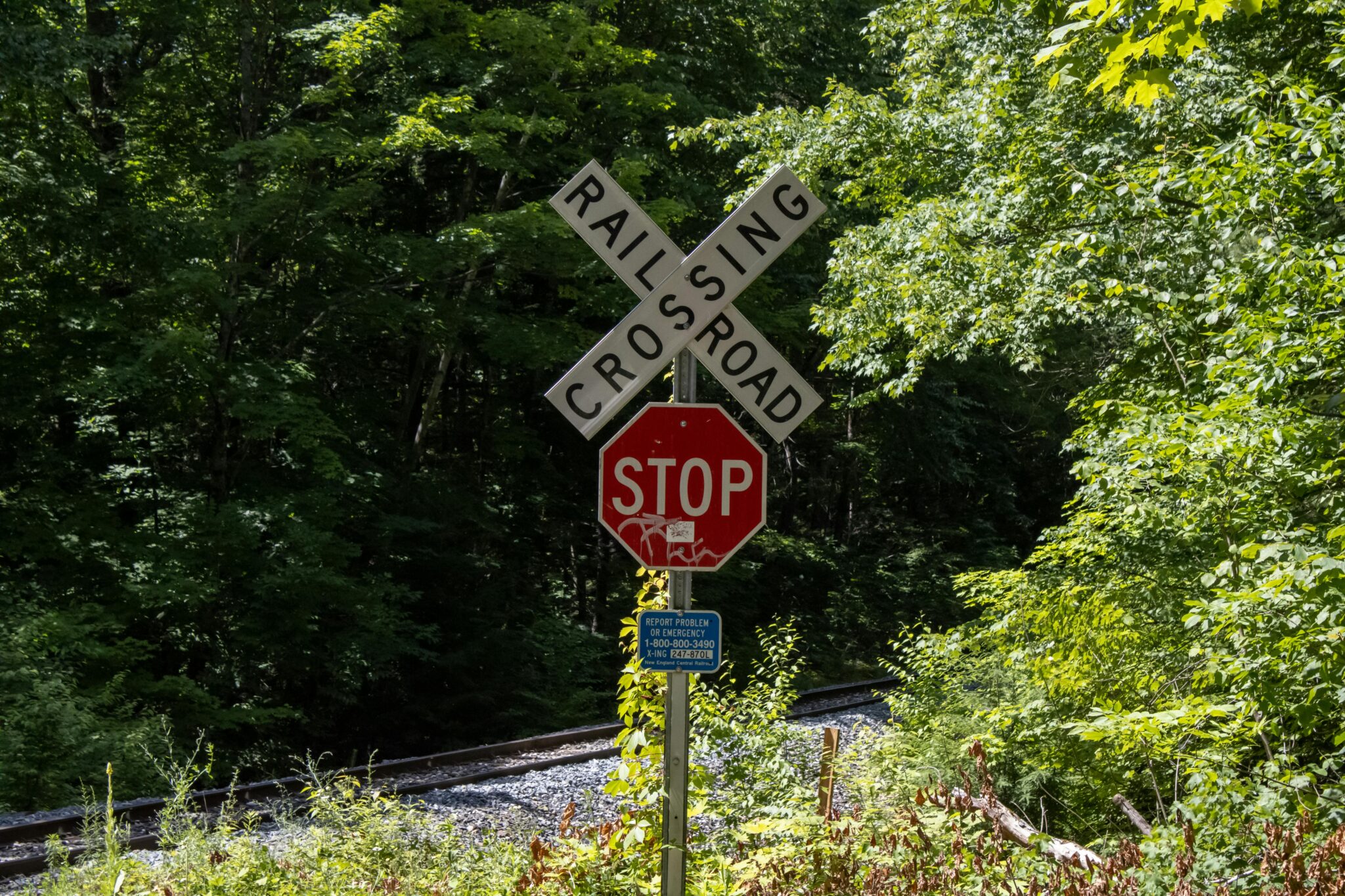 Safety Manager Tip of the Month: Railroad Crossings - CPC Logistics